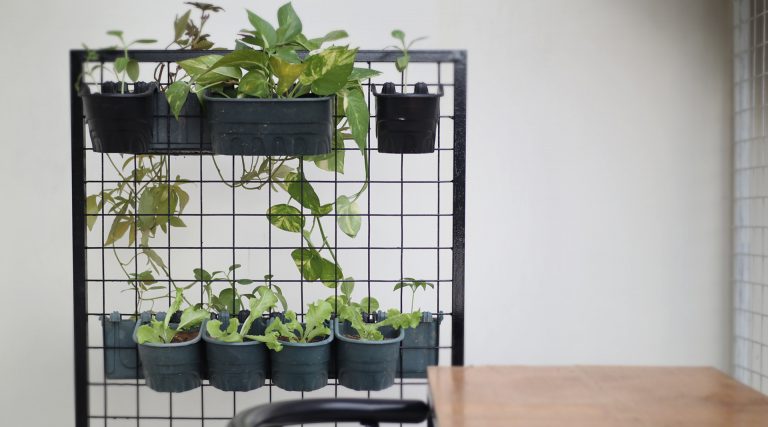Movable Plant Holders – Greens and Vines