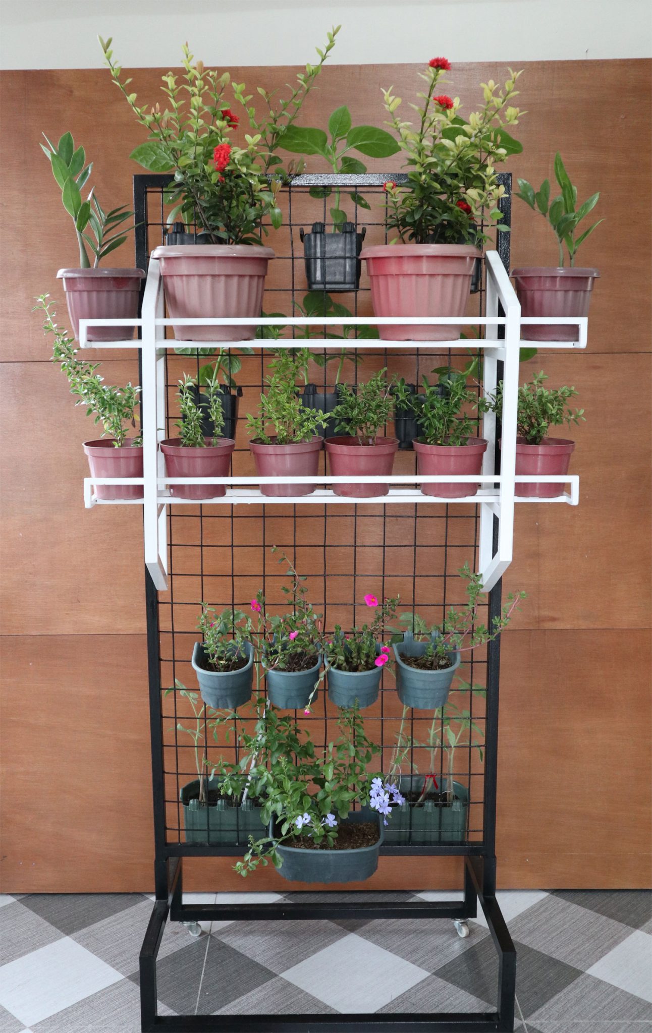 Movable Hanging Plant Shelves – Greens and Vines